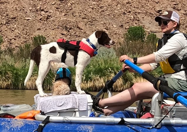 10 Questions Before You Bring Your Dog on a River Trip - RiverBent